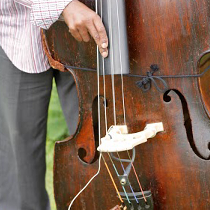 Photos – Nat Reeves